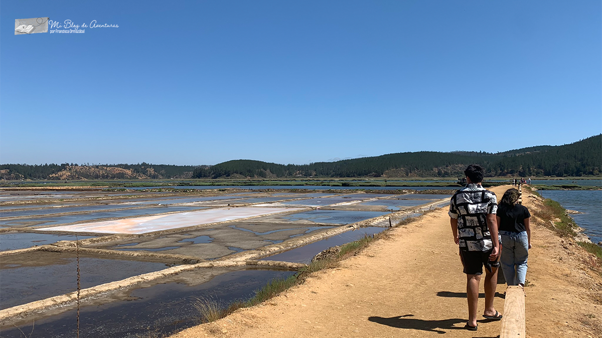 Cómo visitar las Salinas de Cáhuil – Mi Blog de Aventuras